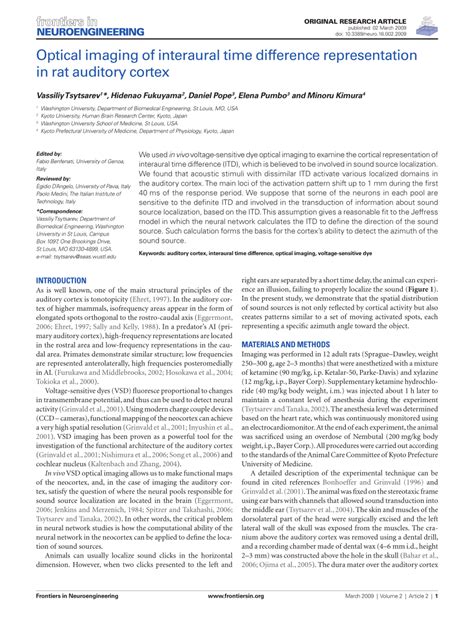 Pdf Optical Imaging Of Interaural Time Difference Representation In Rat Auditory Cortex