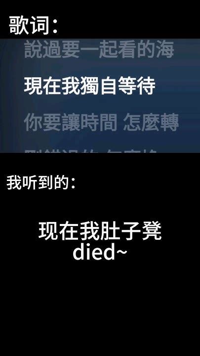 我听到的： Memes Stumbleguys 哈哈哈 洗脑抖音歌曲 哈哈哈 洗脑 洗腦 洗腦歌 洗脑神曲 洗脑歌 那些