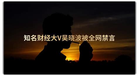 吴晓波被全网禁言 知乎