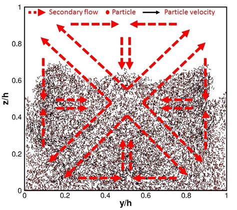 Particle Fluid Modelling Cttc Upc