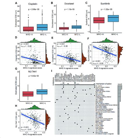 Role Of Mhc Ii Signature In Drug Sensitivity Prediction In The