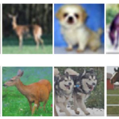 Natural Image Samples Of CIFAR And STL From Top To Down The Download Scientific