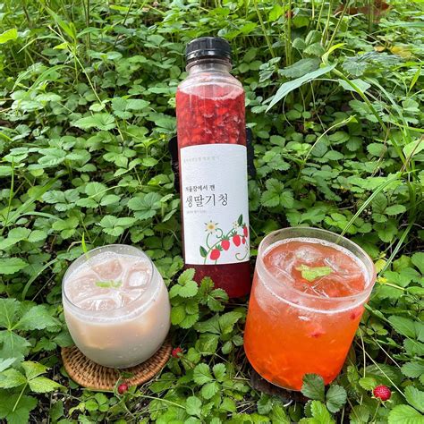 매거진 쓸 🍓🍓🍓딸기 삼총사 출시 합천의 유기농 육보 딸기청으로 만든 딸기라떼와 딸기에이드가