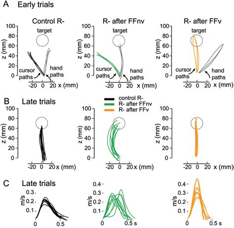 Double Perturbations Of Matched Directions Visuomotor Rotation Download Scientific Diagram