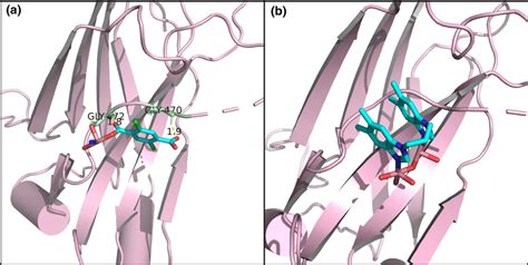 Calculated Binding Conformations For The P Dichlorobenzene Ligand A Download Scientific
