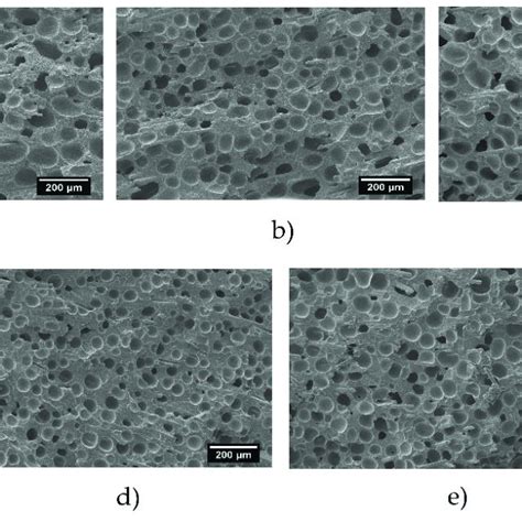 scanning electron microscopy sem micrographs of several obtained
