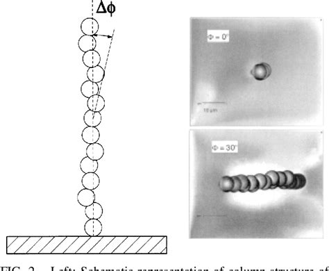 Figure 2 From Three Dimensional Photonic Molecules From Sequentially Attached Polymer Blend
