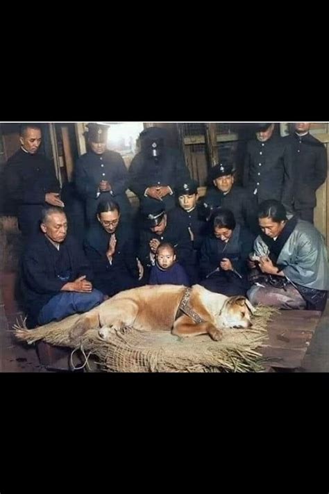 ჰაჩიკოს რომელიც შიბუიას სადგურთან ახლოს 9 წელზე მეტი ხნის განმავლობაში ელოდა პატრონის