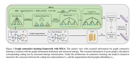 ICML2023SEGA 结构熵引导的图对比学习锚视图 专知VIP