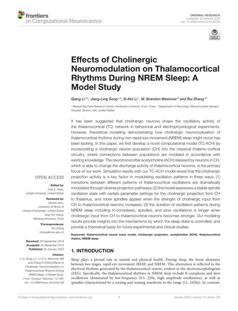 Pdf Effects Of Cholinergic Neuromodulation On Thalamocortical Rhythms