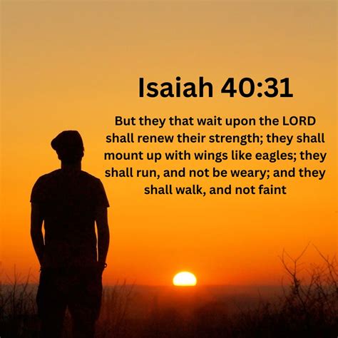 7 Life Lessons We Can Learn From Timothy Biblical Life Lessons