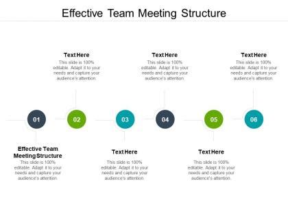 Meeting Structure PowerPoint Presentation And Slides PPT Sample SlideTeam