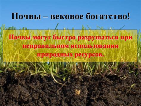 Почва Презентации по географии