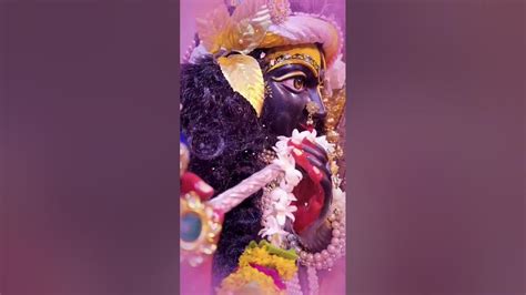 Jai Shree Krishna 🙏🙏 Viralvideosyoutubeshort Comment Mai Jai Shree