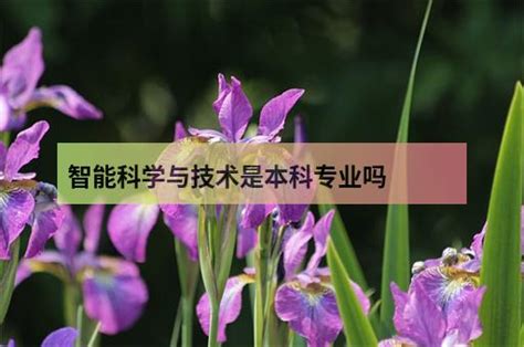 智能科学与技术是本科专业吗 职教网