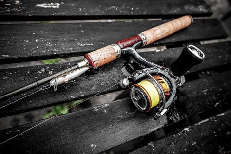 11 Best Fishing Rod And Reel Combos For Beginners In 2023