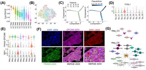 Bd单细胞测序联合absin多色，共同探索脑部肿瘤微环境 知乎