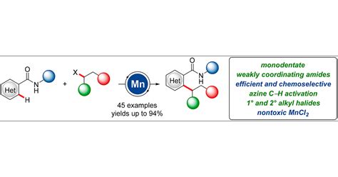Mncl2 Catalyzed Ch Alkylation On Azine Heterocycles Organic Letters