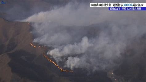 【山火事】大船渡市の山林火災から一夜明け 男性1人の遺体が見つかる 住宅などの建物の延焼は80棟以上に 岩手 Tbs News Dig