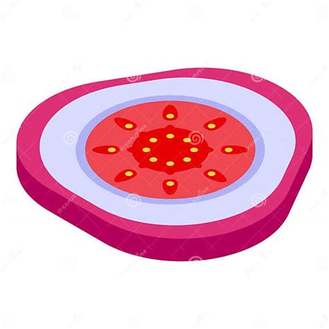 Icono Higos Rojos Recortados Estilo Isométrico Ilustración Del Vector