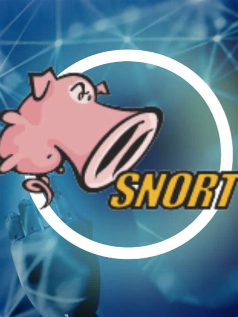 The Role Of Snort IDS In The World Of Network Security