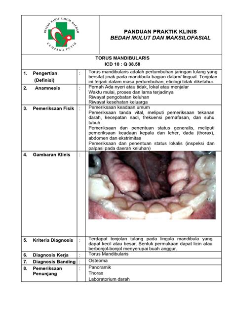 312 Torus Mandibularis Pdf