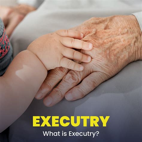 What Is Executry