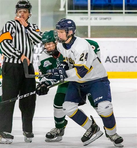 Alex Pelletier Stats Contract Salary More