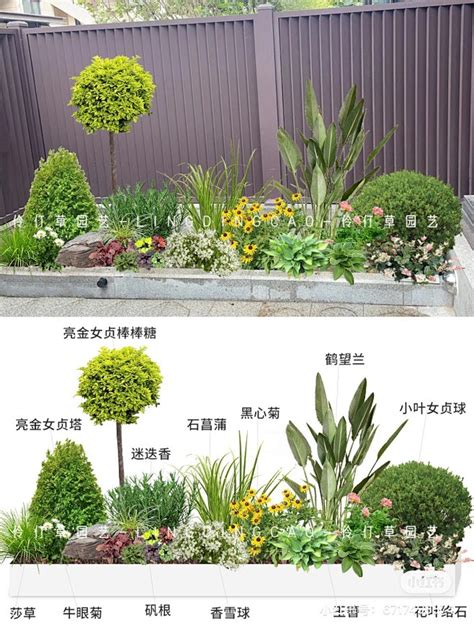 图片 A 植物组团图片素材 花瓣网