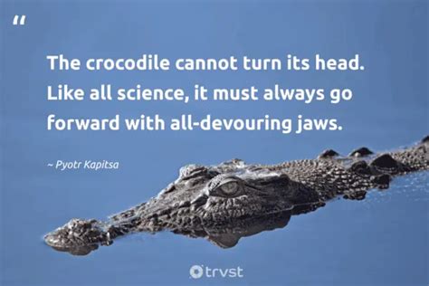 18 Crocodile Quotes About The Mighty Reptiles