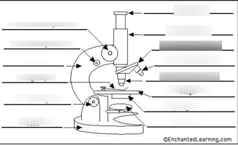 Microscope Exam Labeling Pt 1 Diagram Quizlet