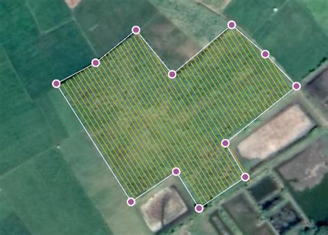 The Ricefield Rectangle Mapping Download Scientific Diagram