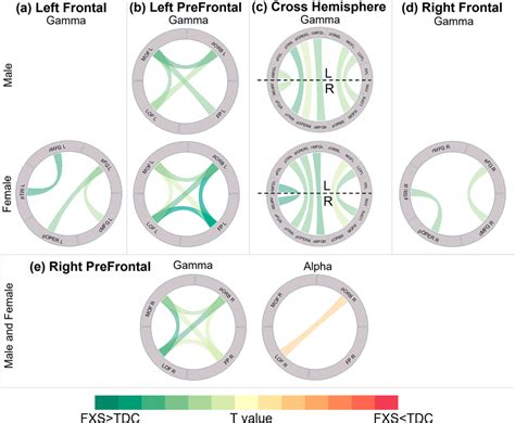 Circular Chart Of Connections Highlighting Significant Group