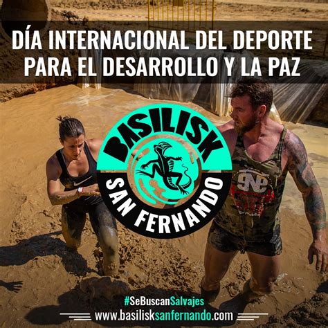 Hoy Se Conmemora El Día Internacional Basilisk Wild Race