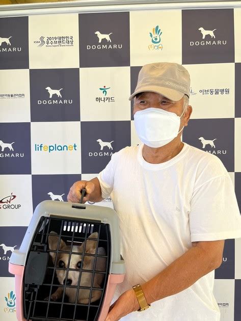 대구 2022 0236 하이브리드견 소희 책임분양 오드아이랙돌분양사이트 오드아이브리티쉬숏헤어분양사이트 오드아이스코티쉬폴드분양사이트 오드아이러시안블루분양사이트 오드아이