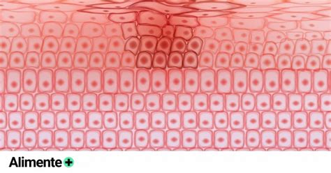 Los Síntomas Y Factores De Riesgo Que Alertan De Un Melanoma Hazles Caso