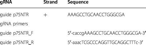 Guide Rna And Guide Rna Primer Sequences Download Scientific Diagram