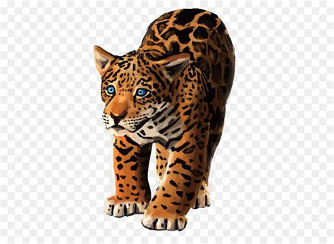 Macan Tutul Vector 51 Koleksi Gambar