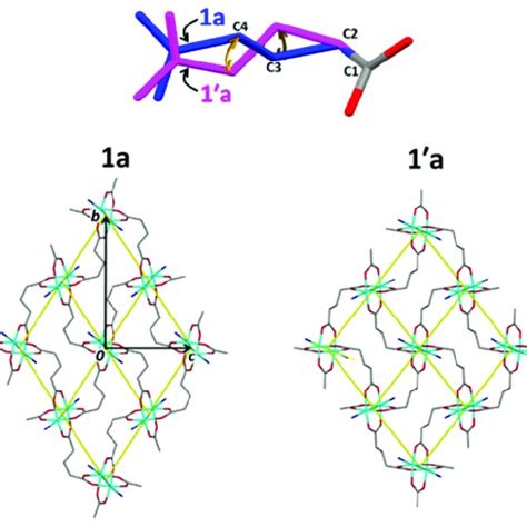 Single Glutarate Linker In 1a And 1 A Top And A Presentation On One