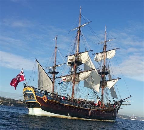 Endeavour Sails Home In Triumph Newsbytes
