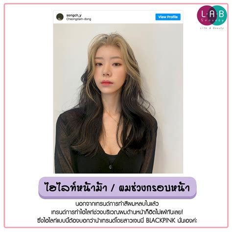 4 เทรนด์สีผมไฮไลท์ยอดฮิต ใครทำก็สวยปัง Lab Society