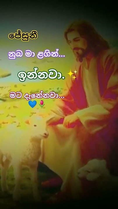 ආදරෙයි ජේසු ️ Youtube