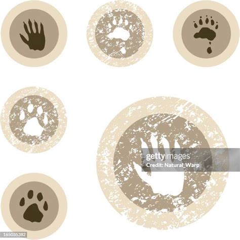 Circle 12 Sections Vector Photos And Premium High Res Pictures Getty