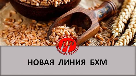Новый комплекс БХМ для ООО "Здоровый хлеб" - YouTube
