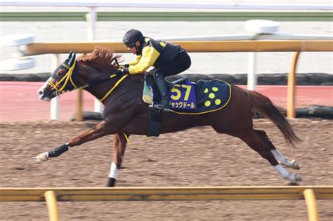 【毎日ベスト3】マイク記者が選ぶ天皇賞・秋・栗東追い切りベスト3 毎日ベスト3 競馬コラム 日刊スポーツ