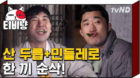 티비냥 보릿고개 시절 두릅에 쑥국 반찬이 어디야 풀맛에 홀딱 반해버린 흙수저 형제 렛츠고시간탐험대3 160525 01 Youtube