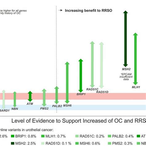 Vaginal Defect Classification By Cordeiro Et Al And Proposed Download Scientific Diagram