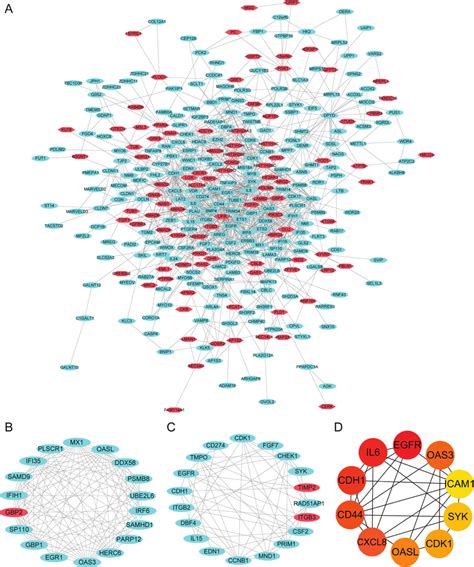 PPI Network Of The DEGs And Modular Analysis A A PPI Network Of The