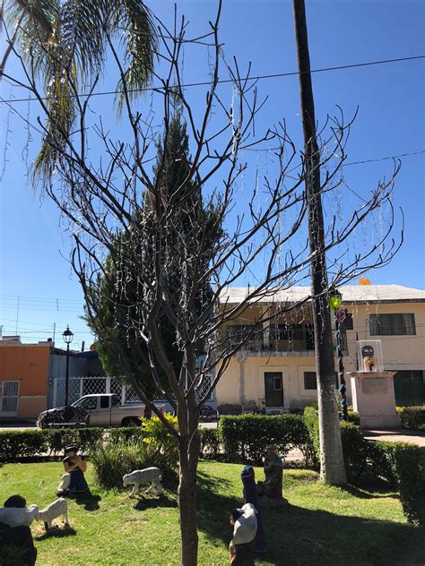 Reportan Vandalismo En Apozol Llaman A Cuidar Todos Los Monumentos Públicos Pulso del Sur