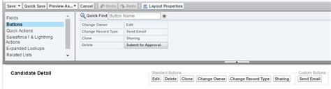 singleemailmessage send an email functionality in a custom button of